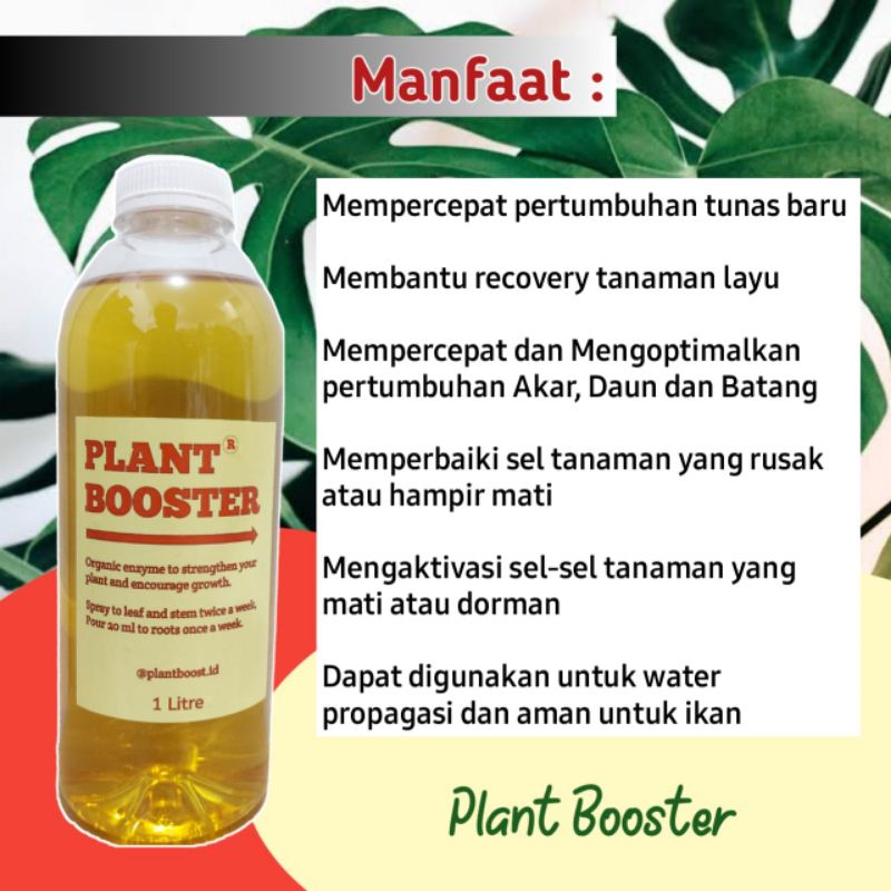 Jual Plant Booster Serum Tanaman Pupuk Tanaman 1 Liter | Shopee Indonesia