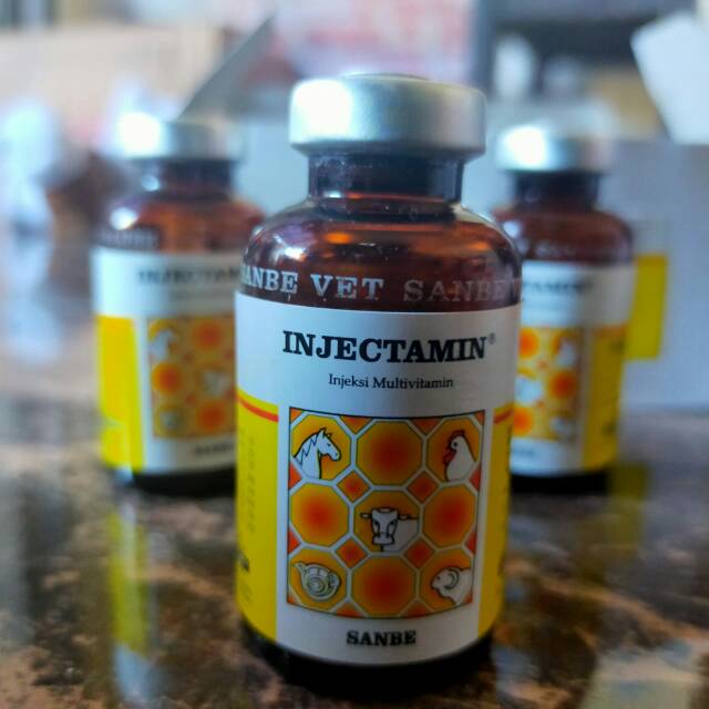 Jual INJECTAMIN 20 ml | Shopee Indonesia