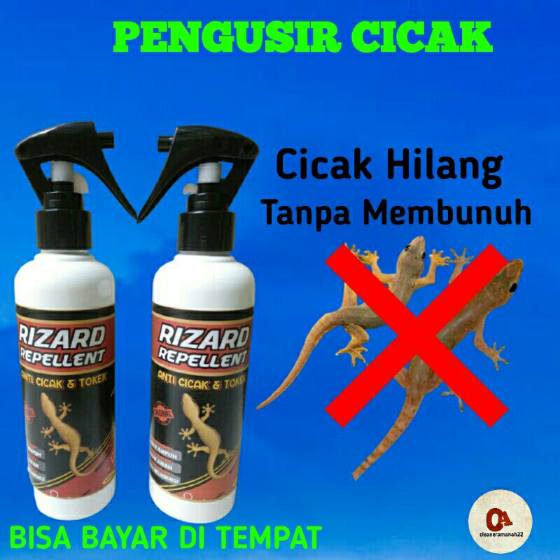 Jual Spray Racun Cairan Obat Pengusir Anti Cicak Paling Ampuh Terlaris ...