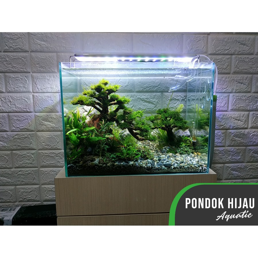 Jual Set Aquascape/aquarium tema bonsai panjang 40cm khusus Gojek/Grab ...