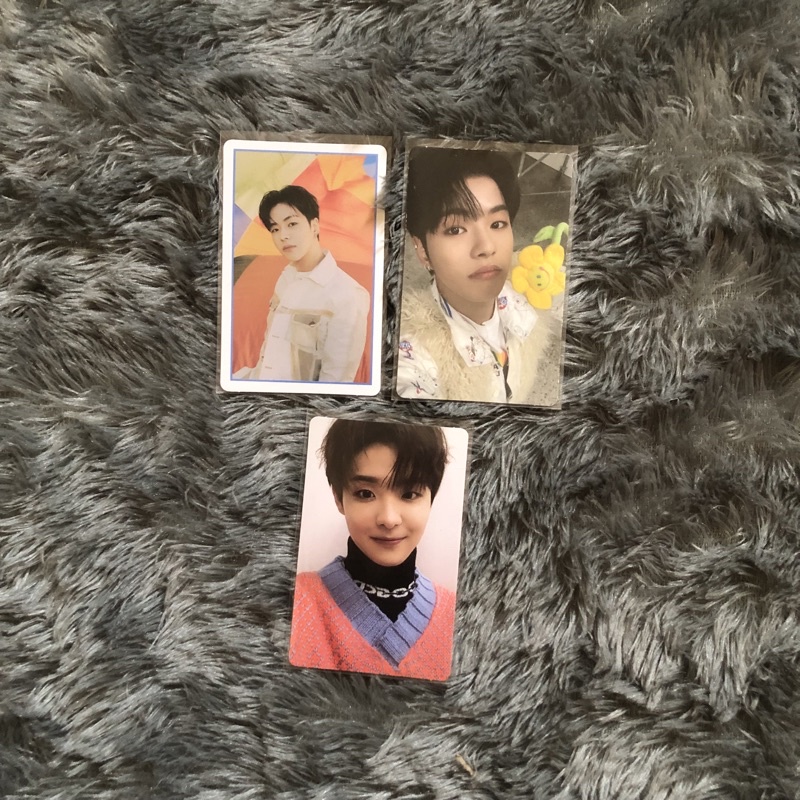 Jual pc jihoon blue selca jaehyuk concept green photocard treasure tss ...