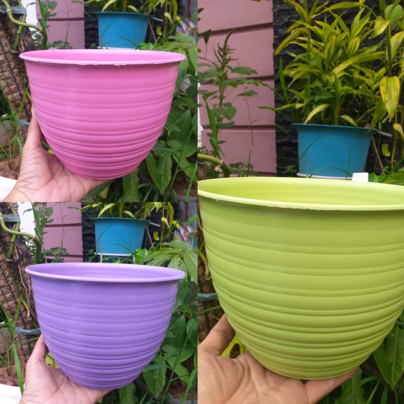 Jual pot motif tawon 20 dx | Shopee Indonesia
