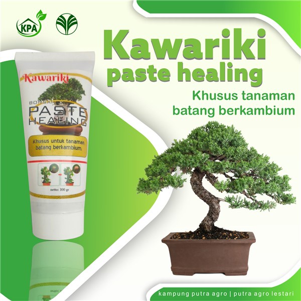 Jual Salep Penutup Luka Sayatan atau Potongan Bonsai dan Anti Jamur ...