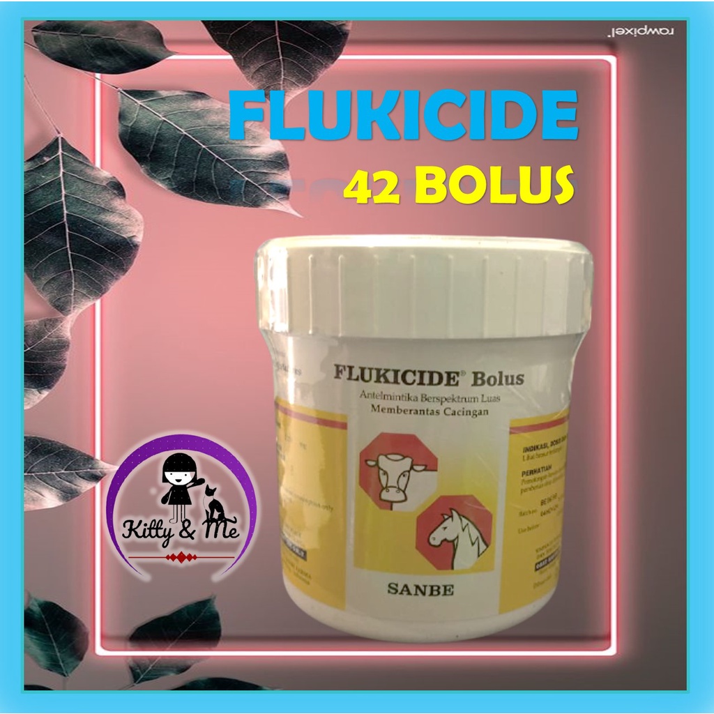 Jual Flukicide 42 Bolus Obat Cacing Sapi Dan Kuda Albendazole Sanbe ...