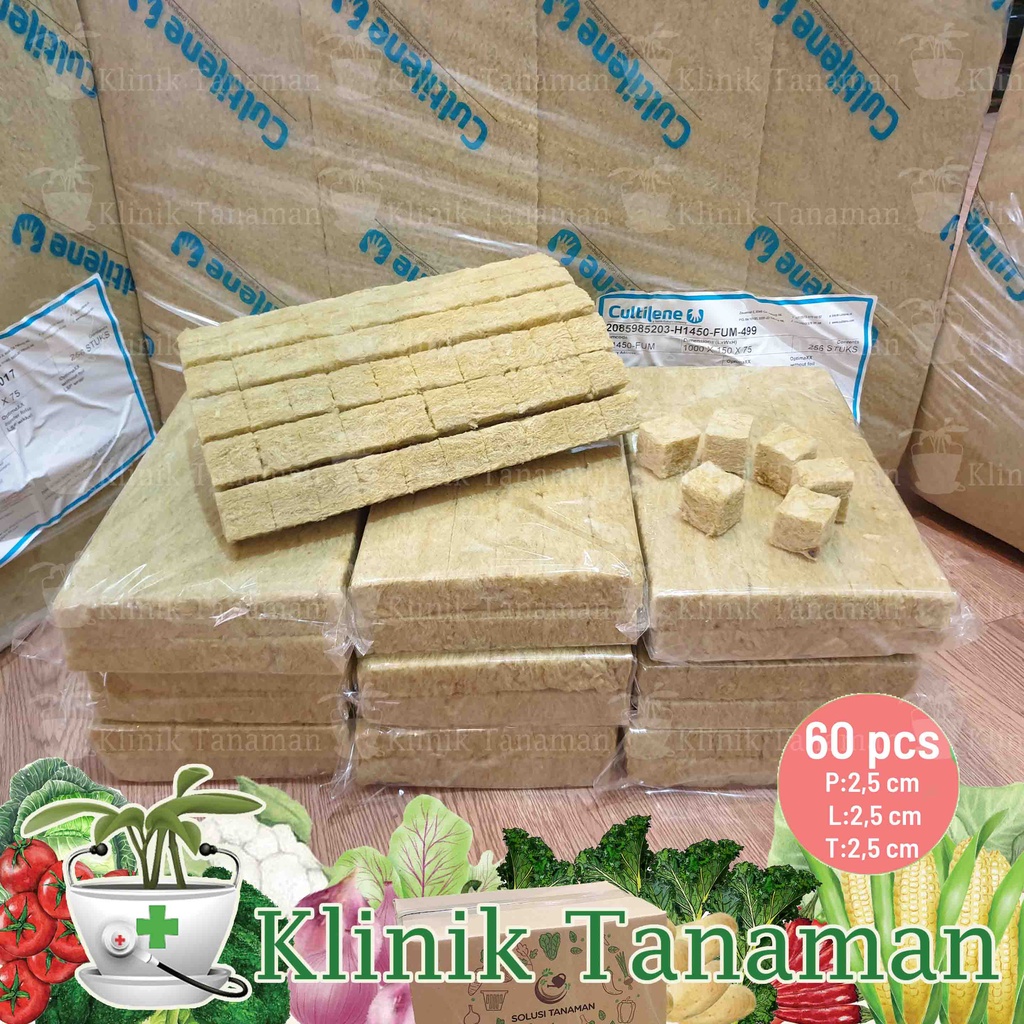 Jual Rockwool Media Tanam Hidroponik 60 pcs ukuran 2.5cm x 2.5cm x 2 ...