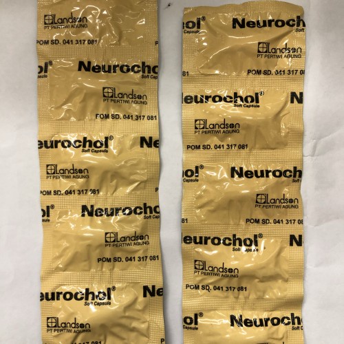 Jual Neurochol capsul | potongan | Shopee Indonesia
