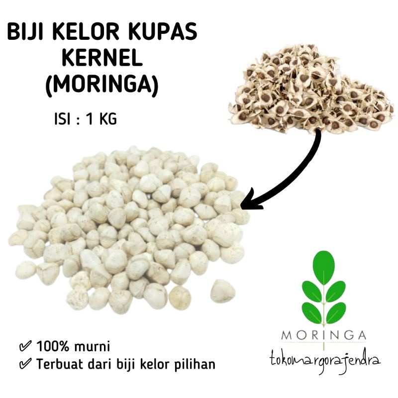 Jual Biji Kelor Kupas 1kg Kernel Moringa Murah Murni | Shopee Indonesia