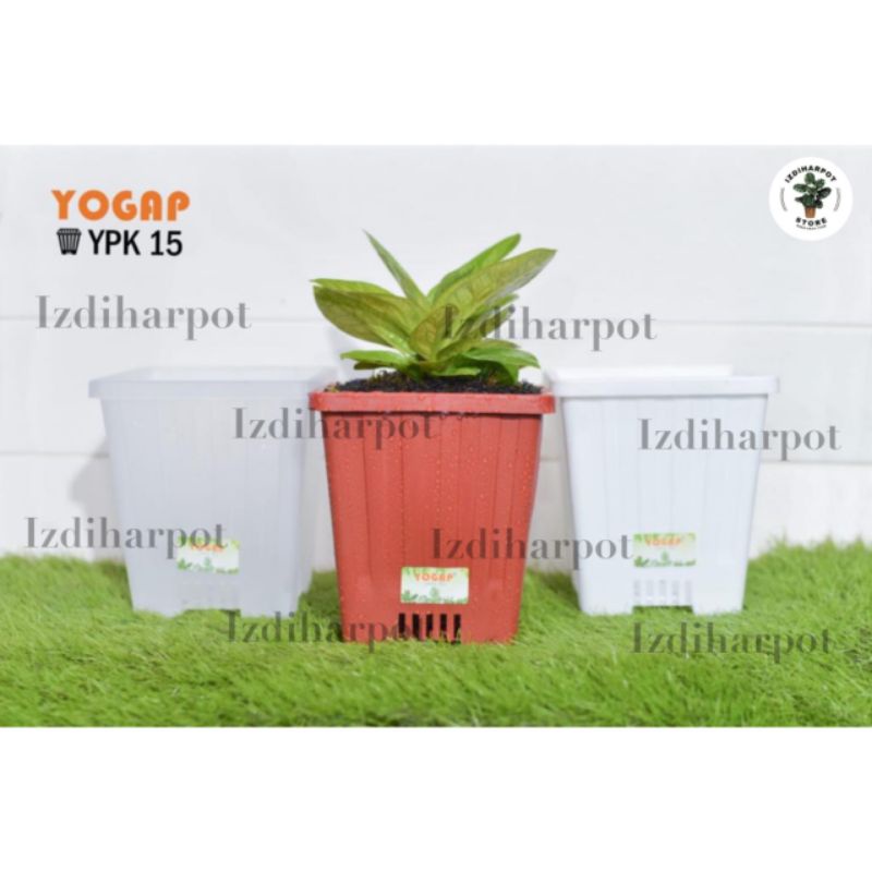 Jual POT BUNGA TANAMAN TINGGI YOGAP KOTAK 15 YPK - YOGAP YPK 15 MERAH ...