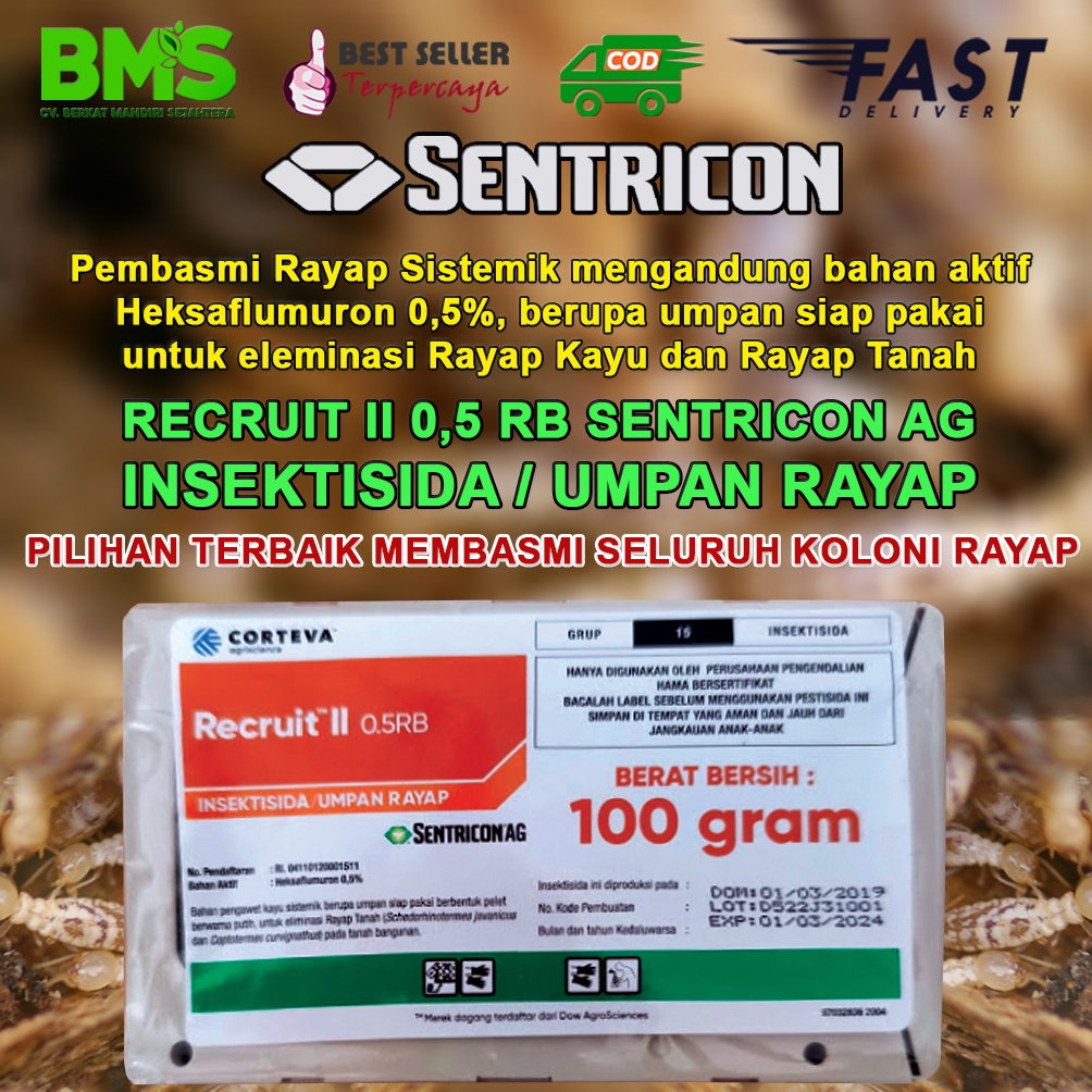 Jual RECRUIT SENTRICON 0.5RB unit alat umpan rayap indoor untuk ...