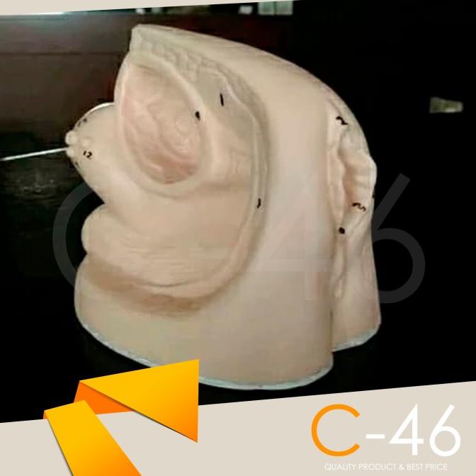 Jual Manekin Kateter Wanita | Manikin Catheter | Phantom Peraga Lokal ...