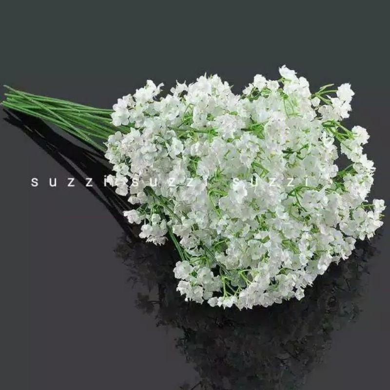 Jual Bunga gypsophila babies breath per tangkai babysbreath | Shopee ...