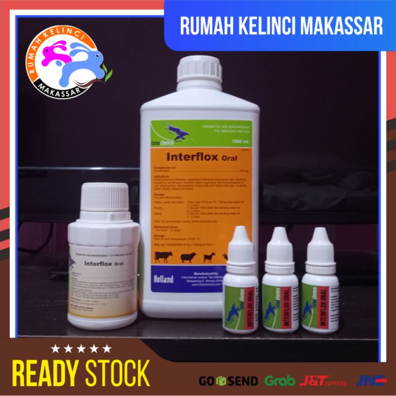 Jual INTERFLOX 10ml Obat Infeksi Pernapasan Hewan Kucing Kelinci Anjing ...