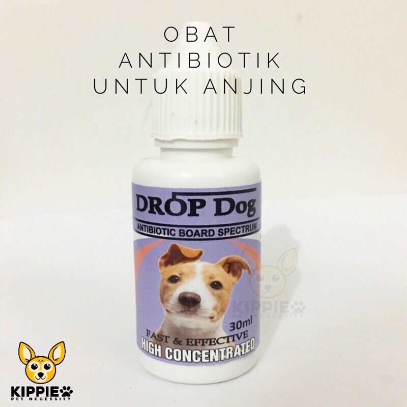 Jual Obat Antibiotik Anjing Drop Dog | Shopee Indonesia