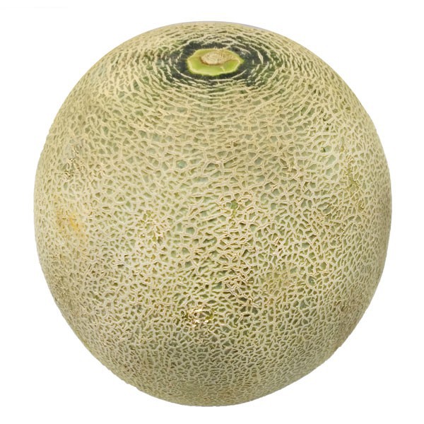 Jual Melon Super Sky Rocket 2200 Gr | Shopee Indonesia