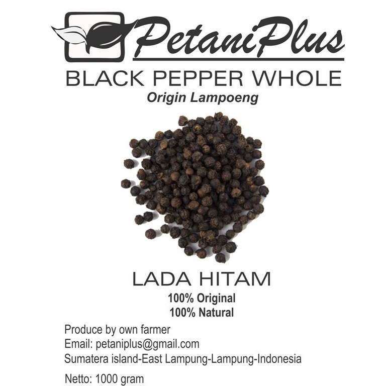Jual Lada hitam lampung (blackpepper whole) Food grade 10kg | Shopee ...