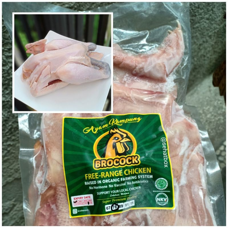 Jual Daging Frozen Ayam Kampung FREE RANGE Brocock (Organic Farming ...