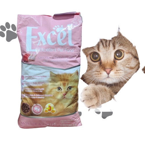 Jual Excel Kitten 20 Kg (Reguler) | Shopee Indonesia