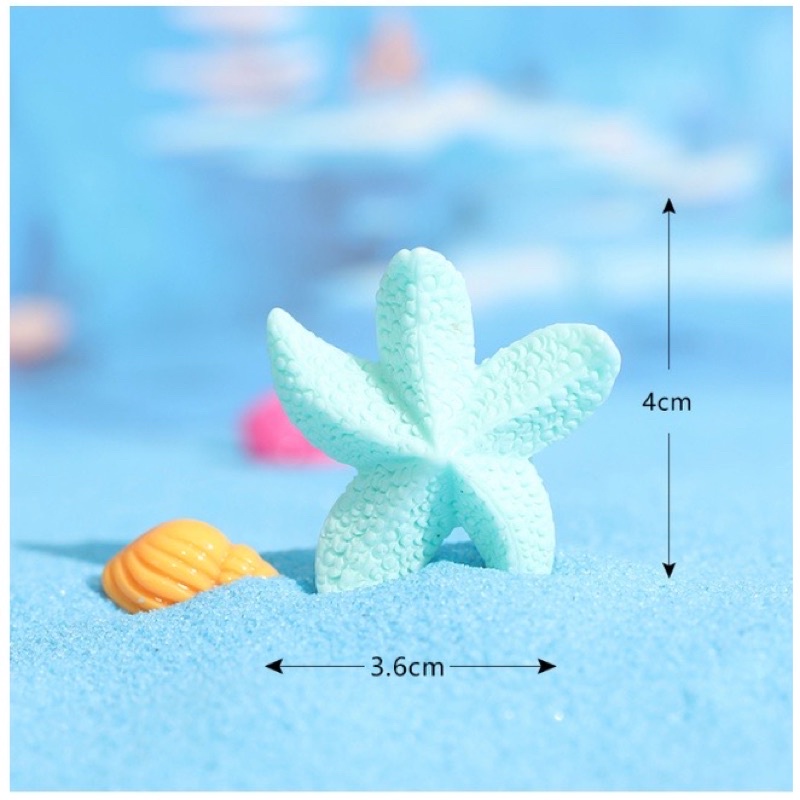 Jual Topper Kerang Bintang Laut Resin Untuk Hiasan Kue Jepit Magnet ...