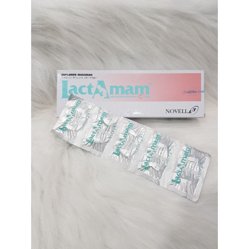 Jual Lactamam 1 strip isi 10 tablet | Shopee Indonesia