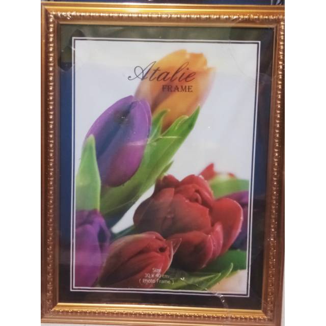 Jual Pigura Poto 30x40 cm Karya Anak Bangsa | Shopee Indonesia