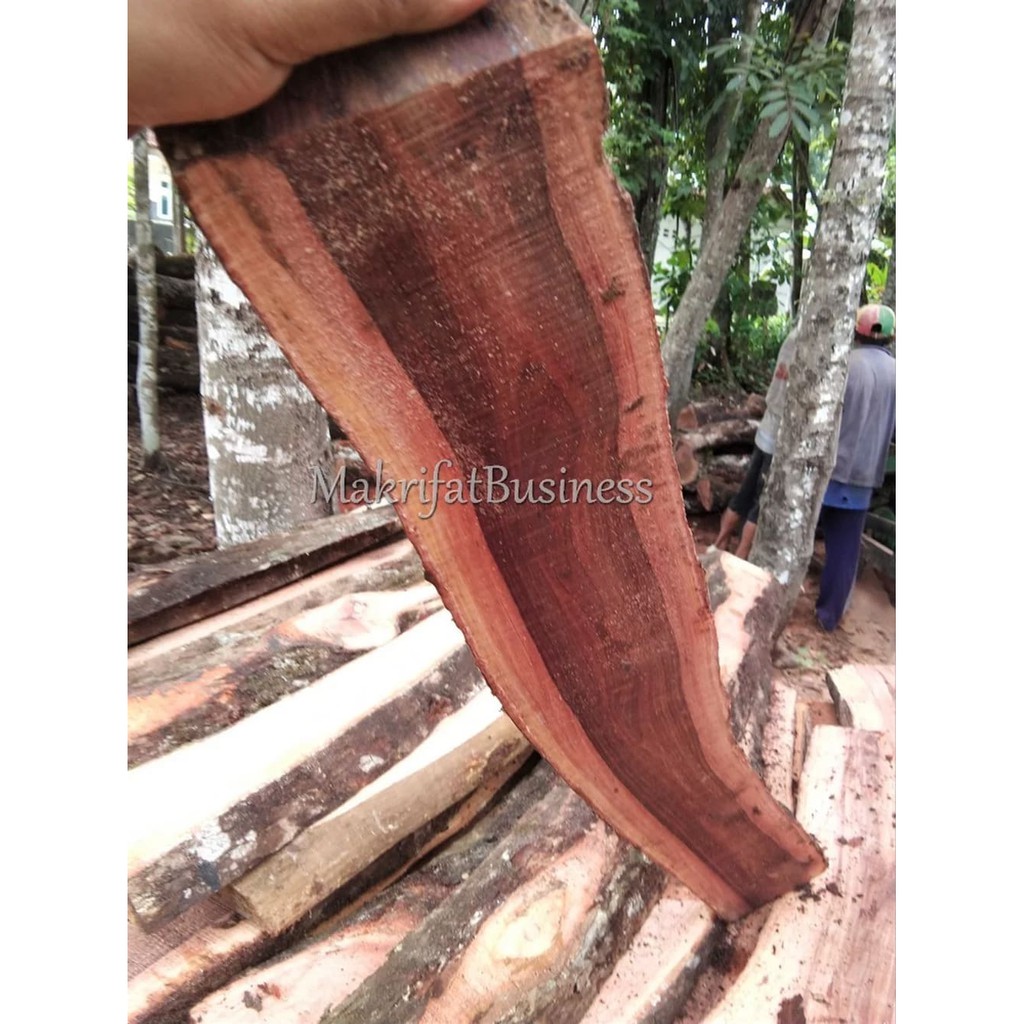 Jual Papan KAYU Tuah Bertuah GALIH NAGASARI Paket 1kg - kode KTBPGN01 ...