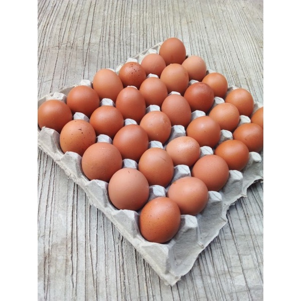 Jual Telur Ayam Murah per Kg | Shopee Indonesia