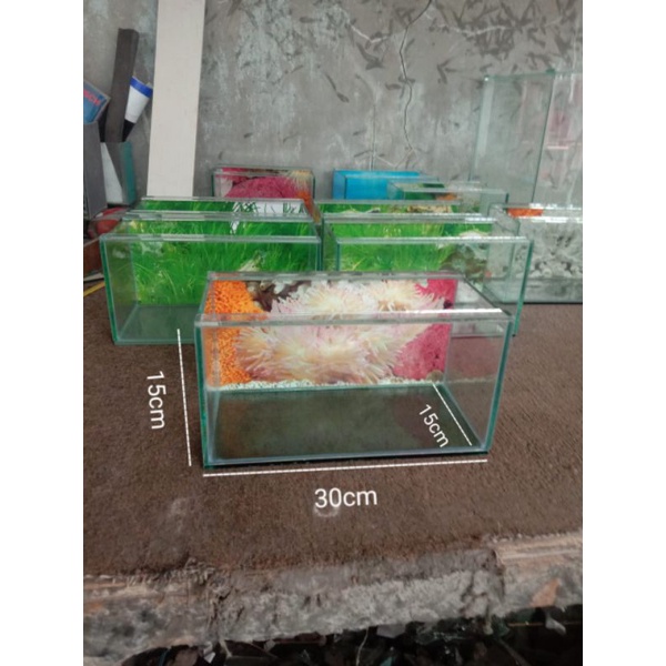 Jual aquarium kaca 30x15x15 background | Shopee Indonesia