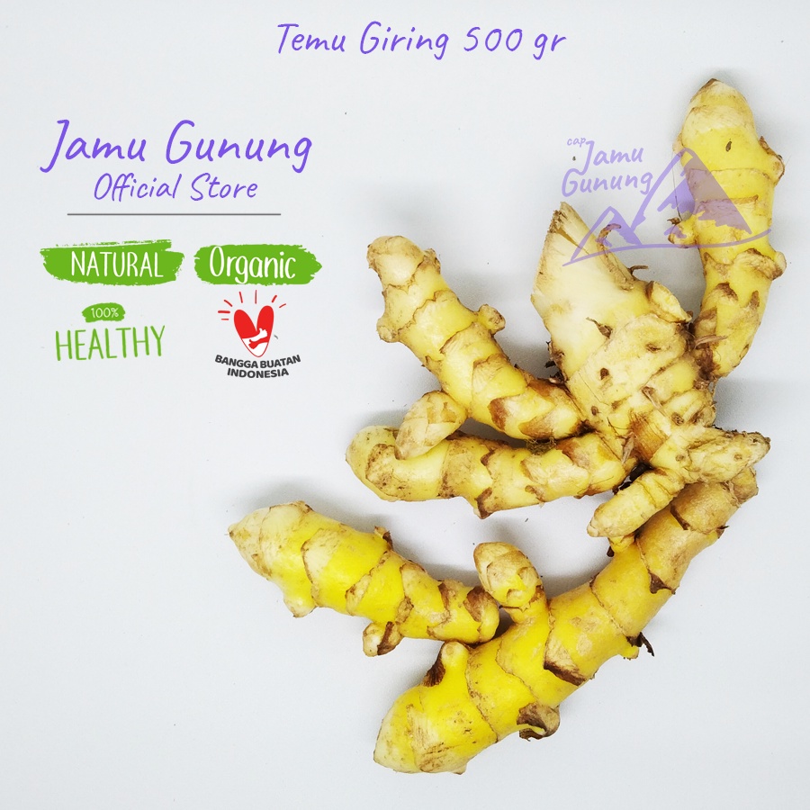 Jual Temu Giring Segar 500gr Organik Lulur Tradisional dari Gunung ...