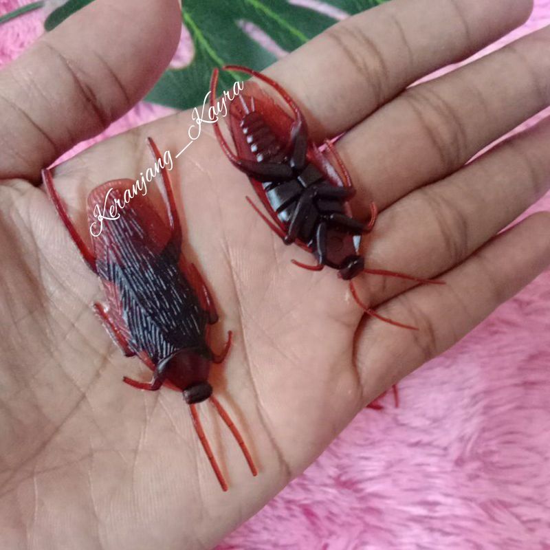 Jual kay20 - Kecoa mainan palsu mirip aslinya murah COD | Shopee Indonesia