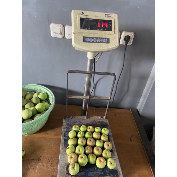 Jual apel malang mini manalagi (apel cherry) 1 kg isi 22-26 biji(cocok ...