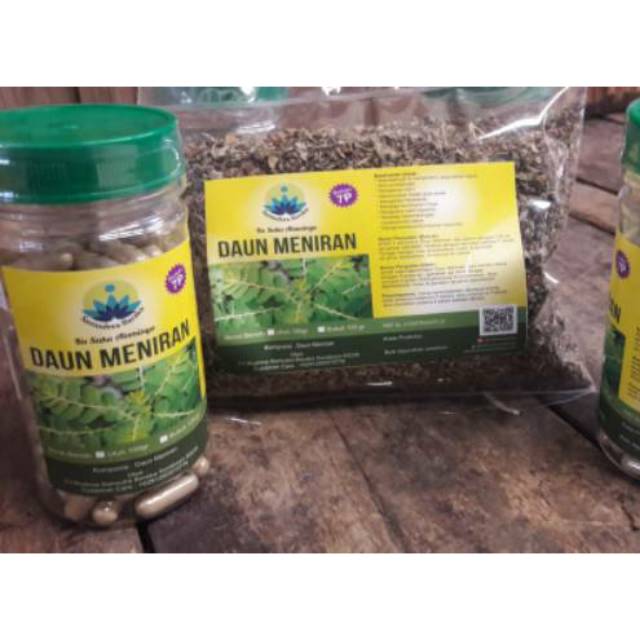 Jual Meniran Daun Meniran Herbal Diabetes | Shopee Indonesia