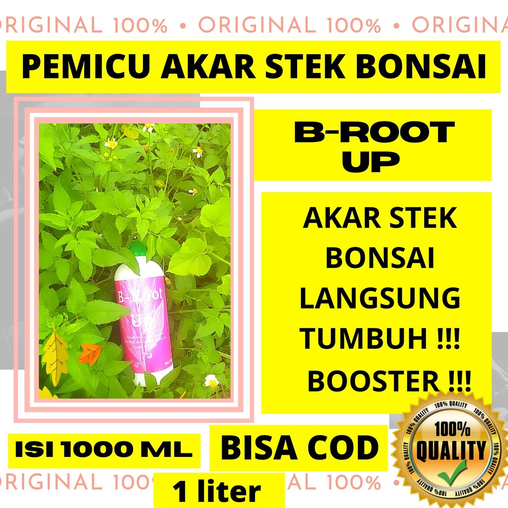 Jual B-ROOT UP Pupuk Cair Hormon Perangsang akar Root Up Pupuk NPK ...