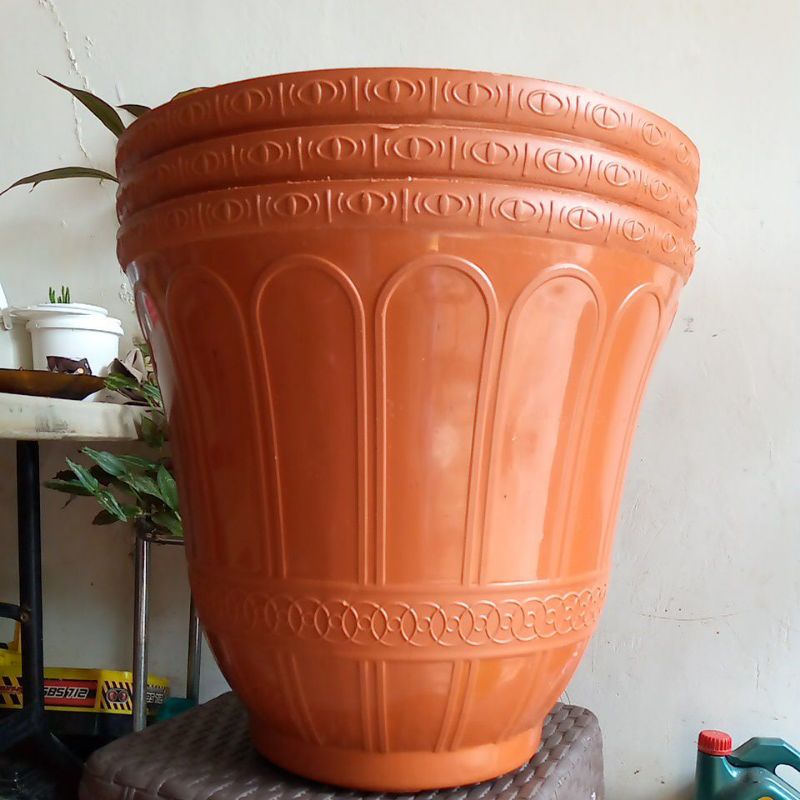 Jual POT BUNGA TINGGI ROMA 35 PUTIH MERAH BATA CANTIK | Shopee Indonesia
