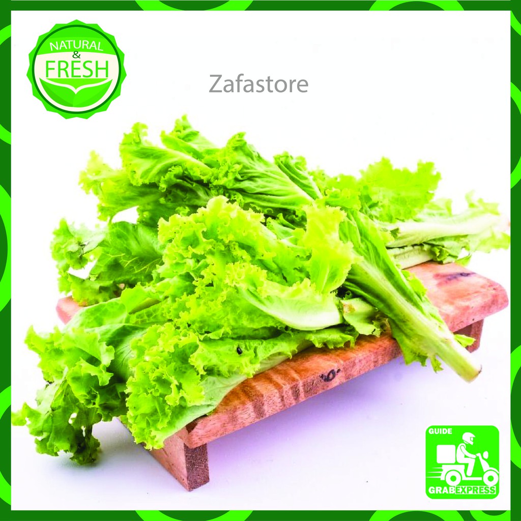Jual SELADA SAYUR SAYURAN KERITING SEGAR FRESH MAKANAN 250 GRAM ...