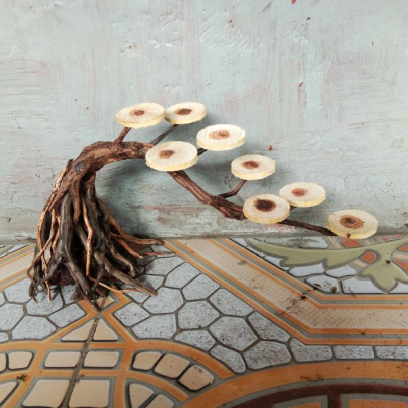 Jual bonsai akar rasamala hardscape aquascape aquarium tanaman air ...