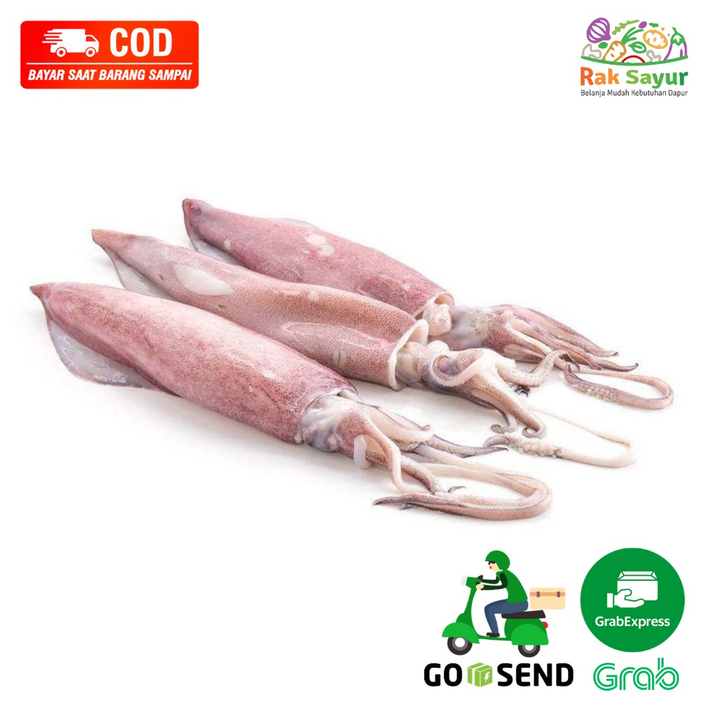 Jual Cumi Cumi Segar Basah ukuran Sedang 250gr Ikan Segar Rak Sayur ...