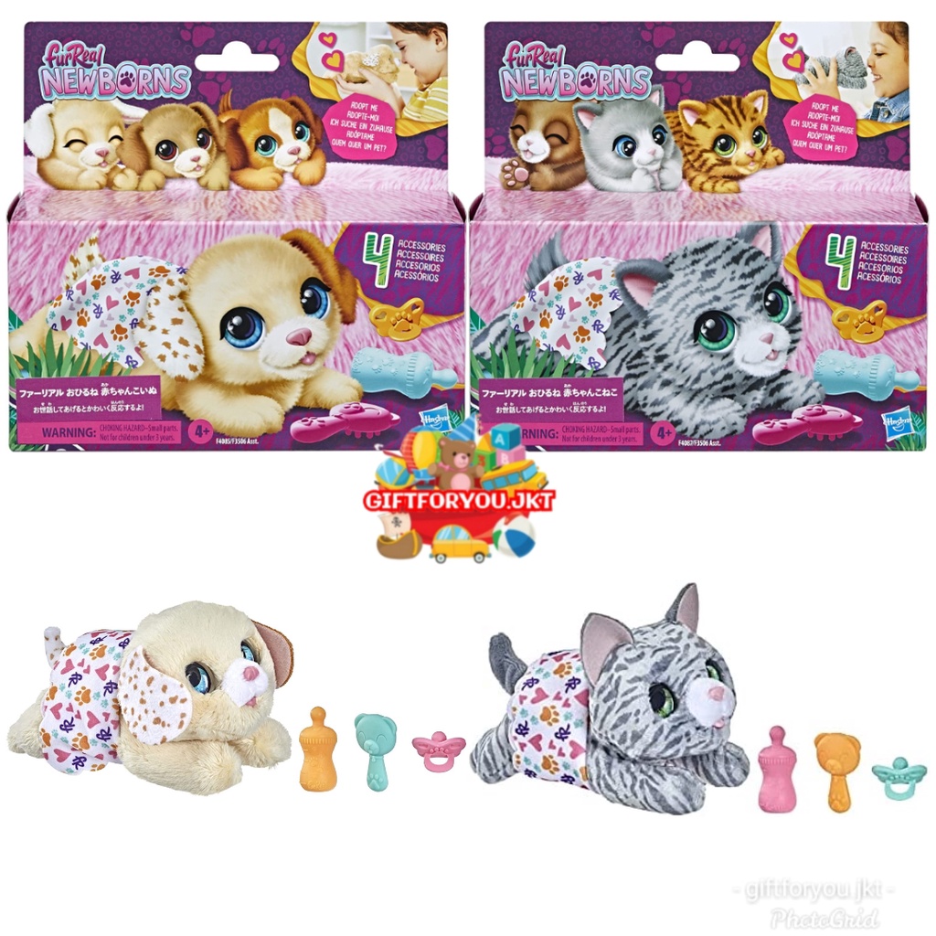Jual FurReal New Borns Baby Puppy Kitty Dog Cat Plush Doll Boneka ...