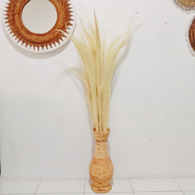 Jual Rayung Stick Pampas Panjang 1,5 Meter (1 ikat isi 3 batang ...