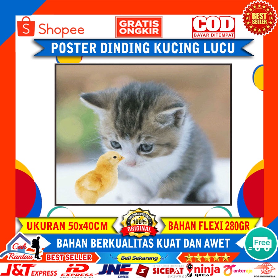 Jual Poster Dekorasi Dinding Kamar Walpaper Dinding Ruang Tamu Gambar ...