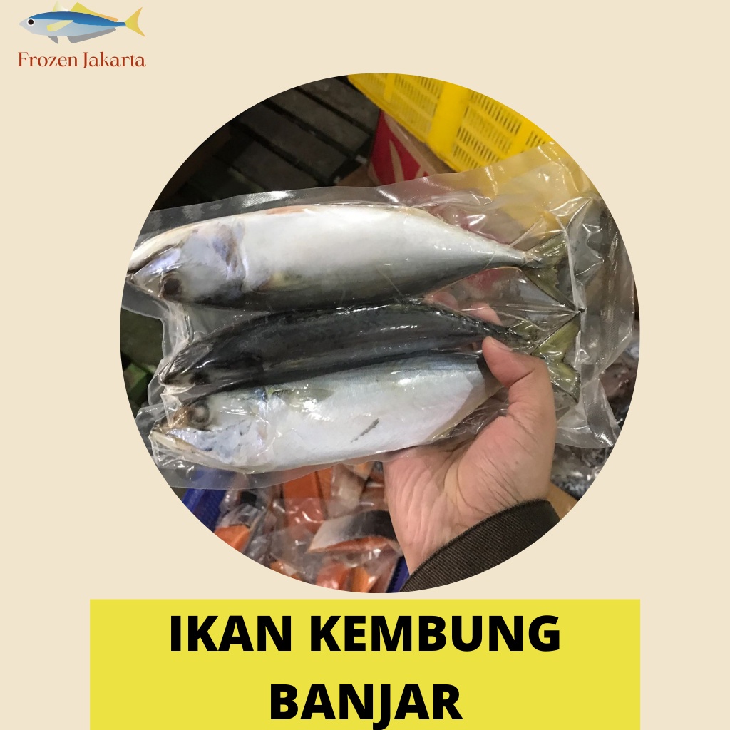 Jual IKAN KEMBUNG BANJAR UTUH FRESH FROZEN JAKARTA | Shopee Indonesia