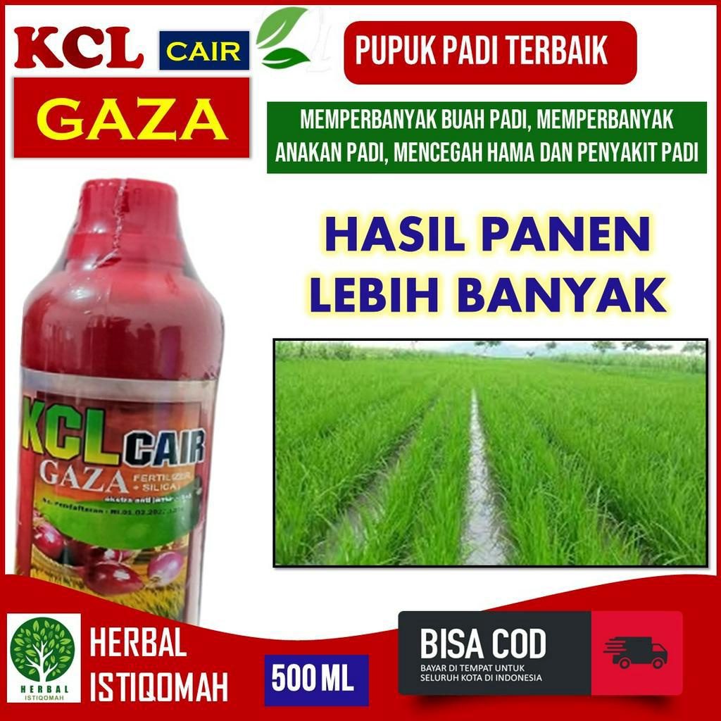 Jual (PANEN Meningkat) Pupuk KCL Cair Gaza 500 ML - Pupuk Booster Penambah Bobot Padi Pengisi ...