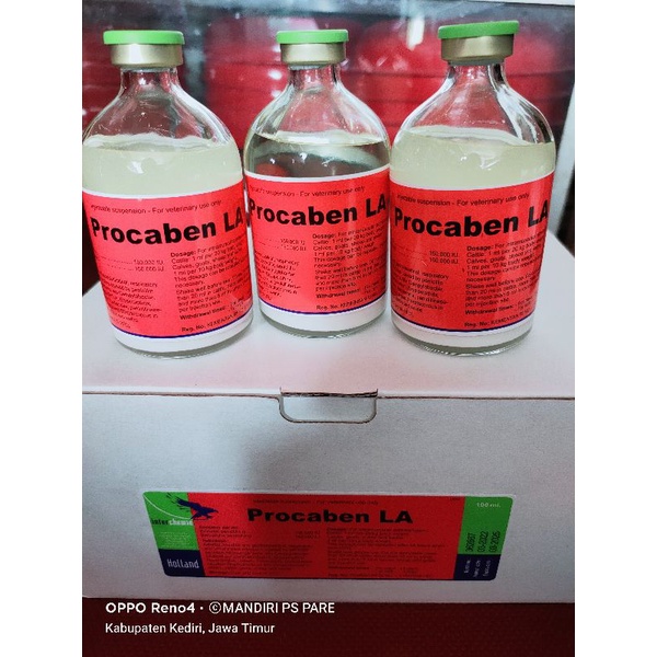 Jual PROCABEN LA 100ML (Pengganti PENSTREP 400) | Shopee Indonesia