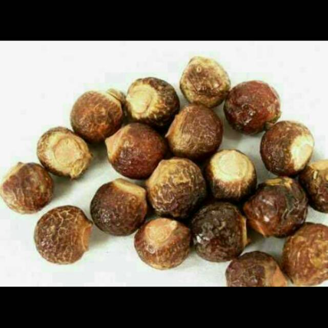 Jual Buah lerak / Klerak 1kg | Shopee Indonesia