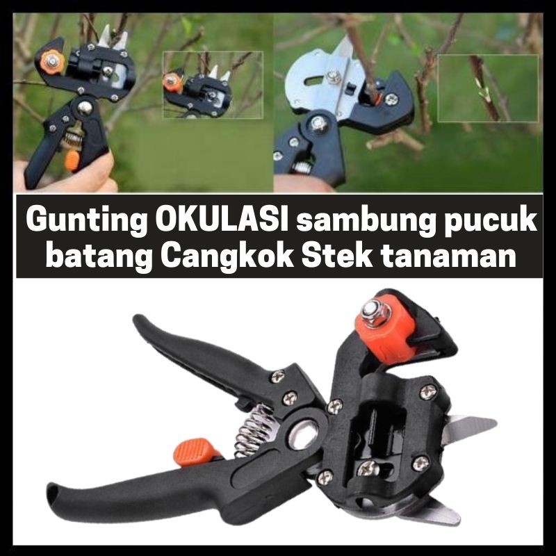 Jual Gunting Stek Sambung Batang Tanaman Alat Stek Cangkok Dahan pohon ...