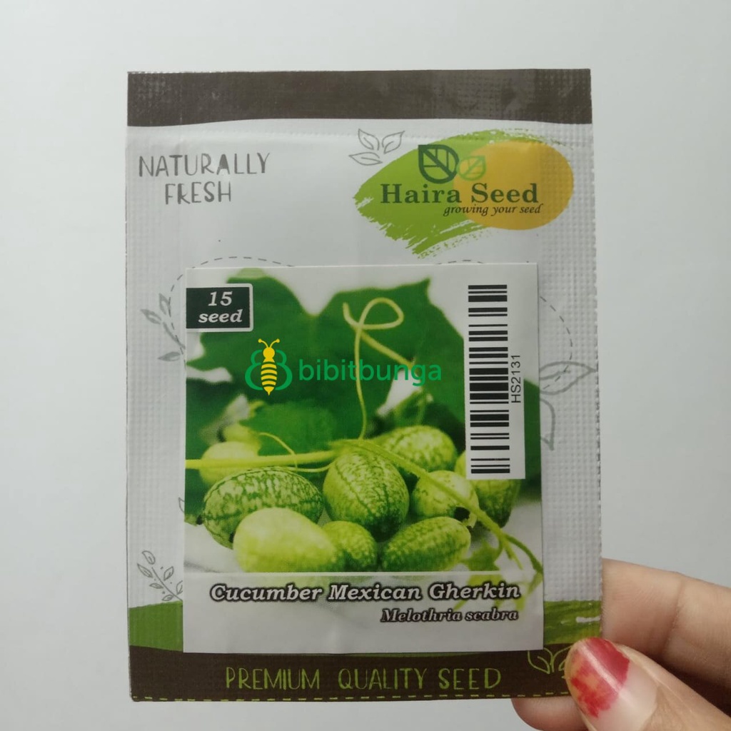 Jual Benih Bibit Timun Mexican Gherkin 15 Biji Mentimun Cucumber Haira ...