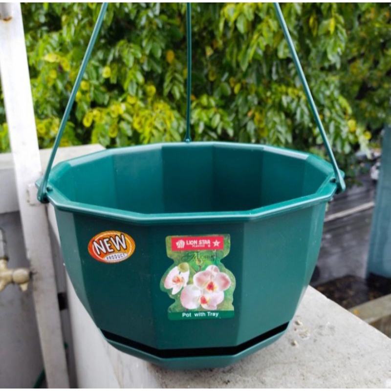 Jual pot gantung 10 lion star, pot gantung besar, diameter 25, hijau ...