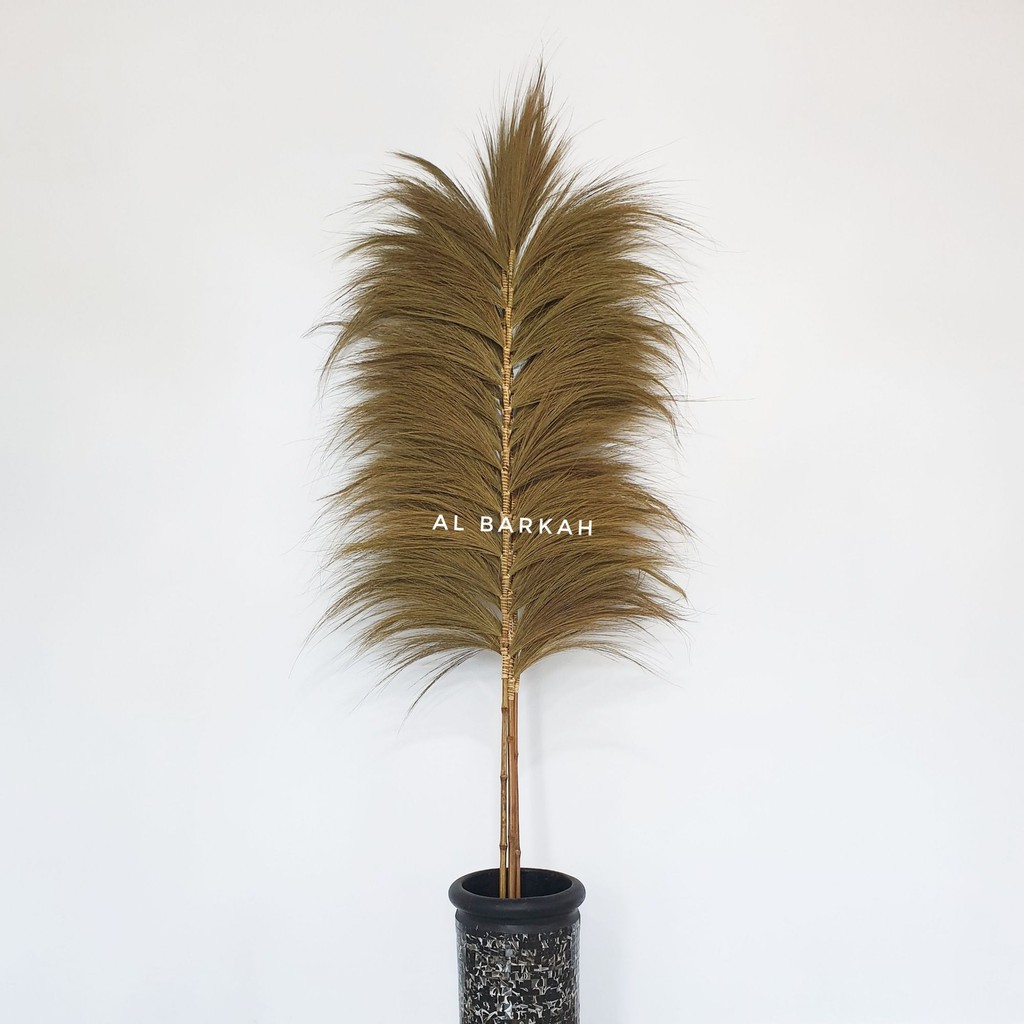 Jual pampas rayung stick kering 2meter | Shopee Indonesia