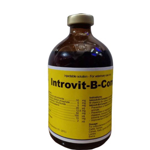 Jual INTROVIT B-COMPLEX inject 100ml | Shopee Indonesia