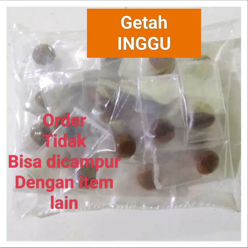 Jual Jamu Herbal Tradisional Getah Inggu Untuk Vertigo, migrain, kepala ...