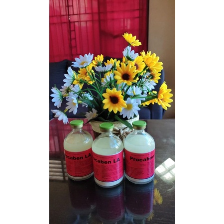 Jual Procaben LA | Shopee Indonesia